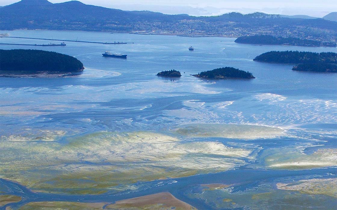 LLTK joins research network modeling Puget Sound ecosystems - Long Live ...