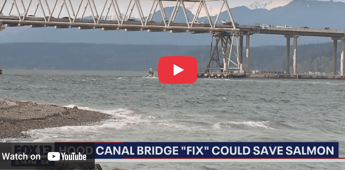 Hood Canal Bridge 'fix' for fish kills now being tested - Long Live The ...