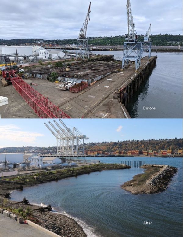 Restoring Urban Estuaries: Vigor Shipyards’ Aquatic Habitat Restoration ...